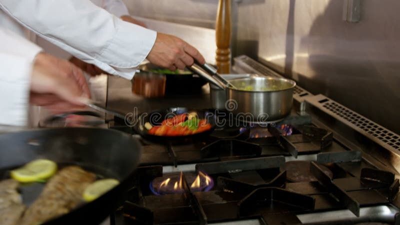 Four Chefs Cooking and Working Stock Video - Video of standing, chef ...