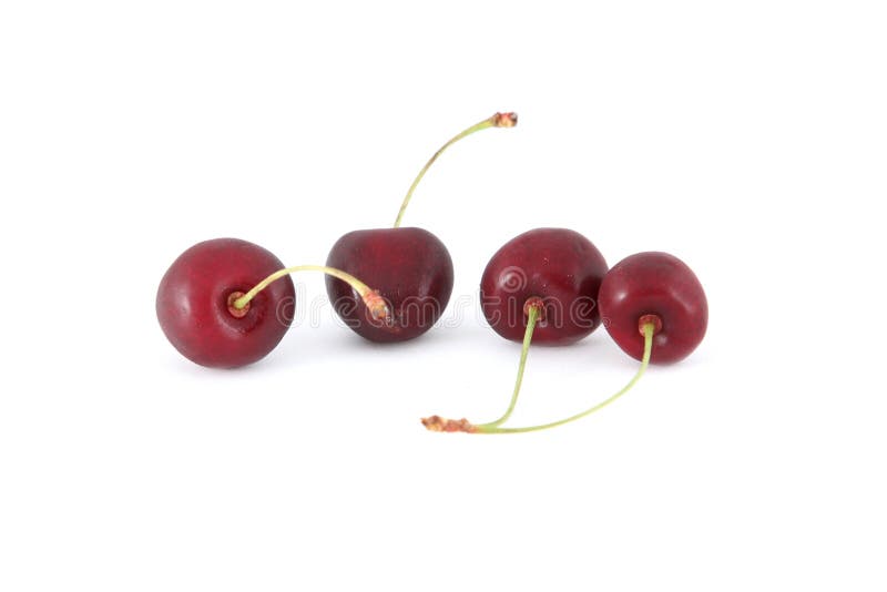 Four cherries stock photo. Image of object, juicy, natural - 15213788