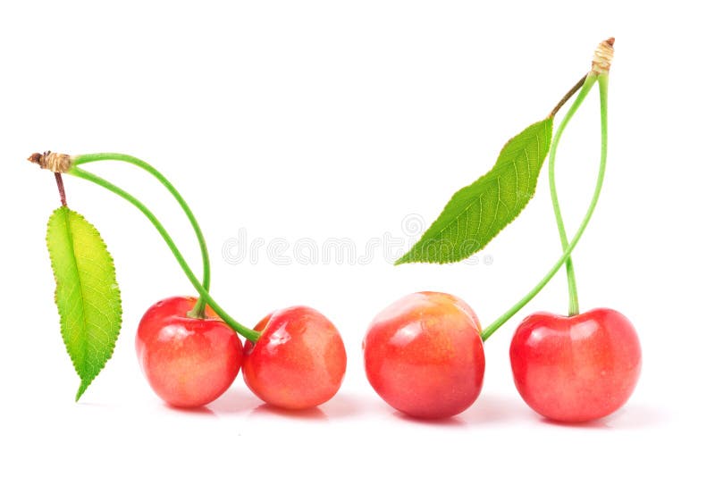 Four Cherries Close-up on White Background Stock Image - Image of ...