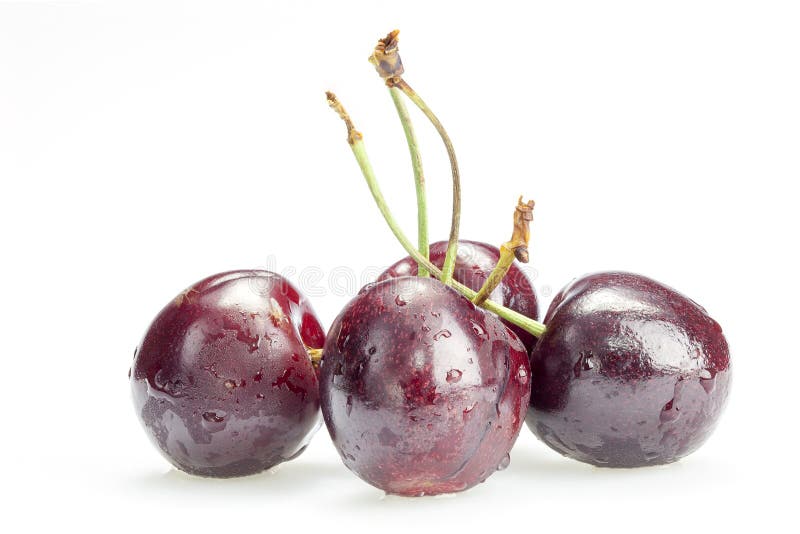 Four Cherry Berries Isolated on White Background Stock Photo - Image of ...