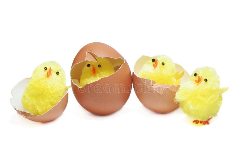 Four Chickens in a Chicken Coop Stock Image - Image of horizontal ...