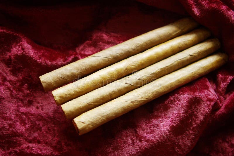 Four cigars stock photo. Image of taste, cigar, crimson - 5535988