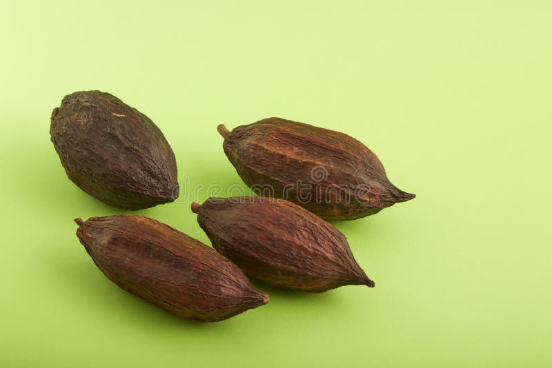 Cocoa pod green stock image. Image of nature, tree, closeup - 25765873