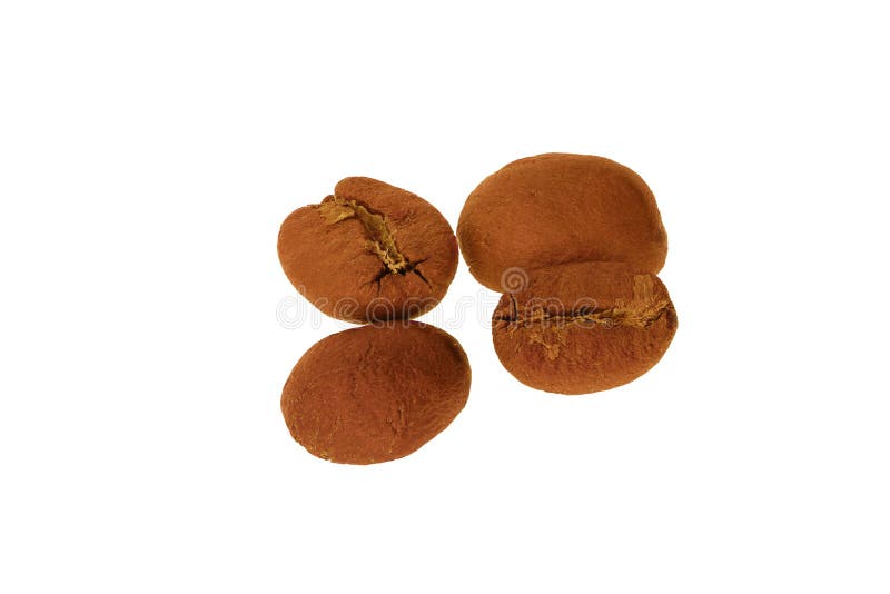 Four coffee beans stock photo. Image of background, grain - 246858802