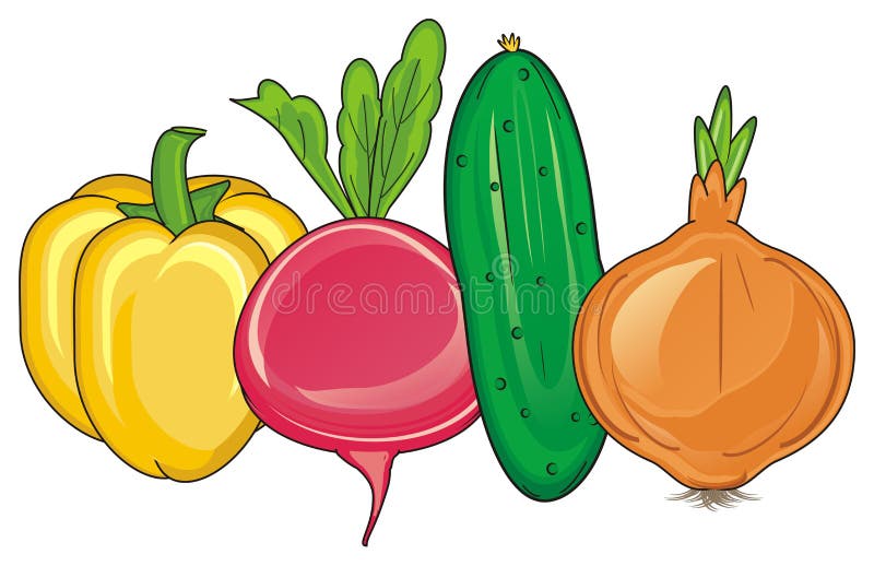 Four colored vegetables stock illustration. Illustration of isolated ...
