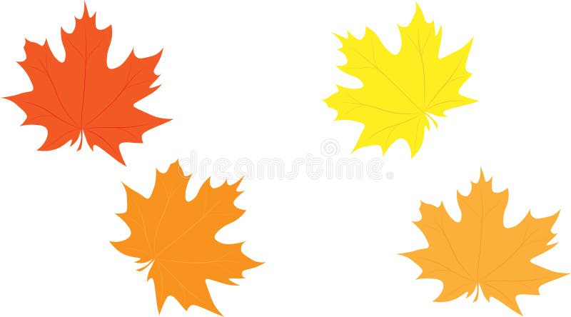 Four Colorful Maple Leaves. a Template for a Vector Illustration of a ...