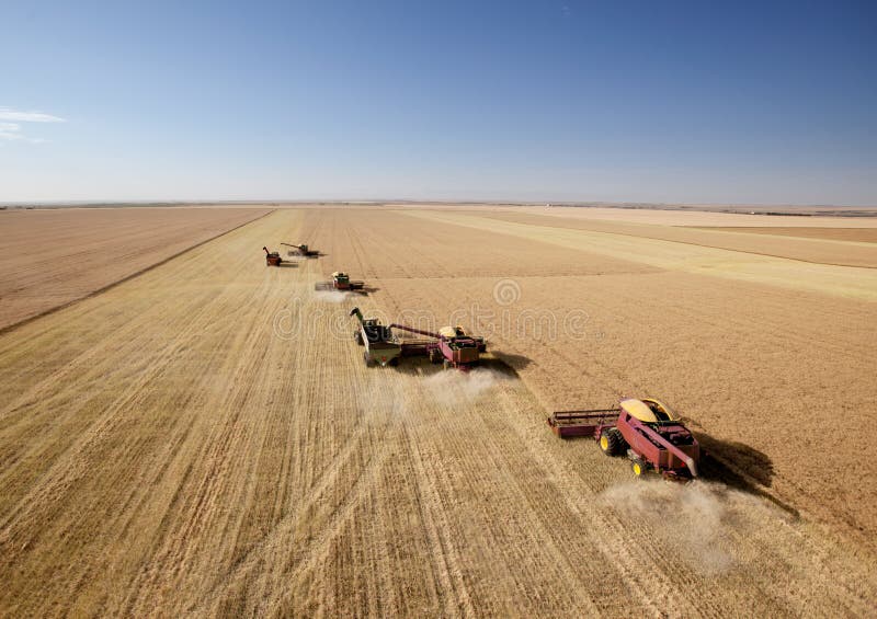 Four Combines in Field stock photo. Image of landscape - 22020006