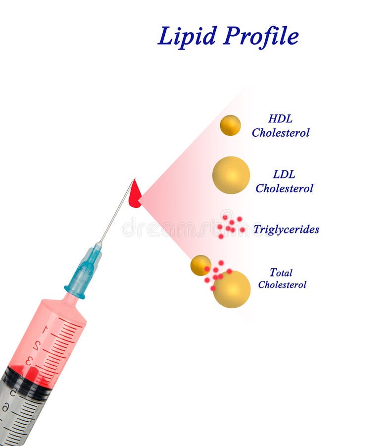 Components of Lipid Profile Stock Photo - Image of horizontal, total ...