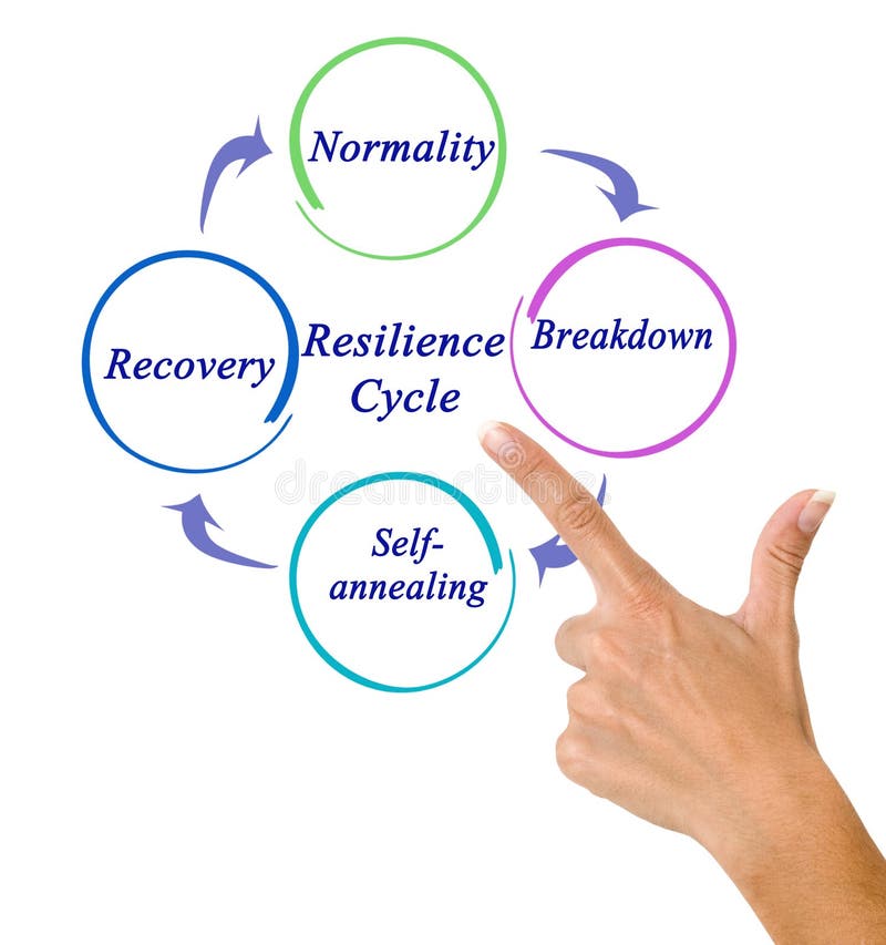Components of Resilience Cycle Stock Photo - Image of resilience, four ...