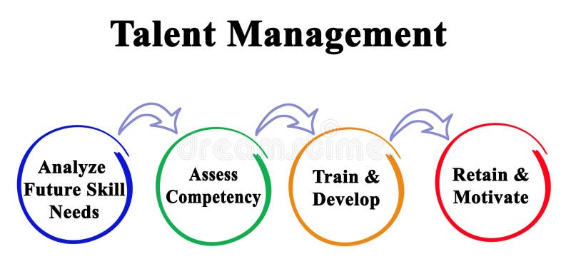 Components of Talent Management Stock Photo - Image of assess, concept ...