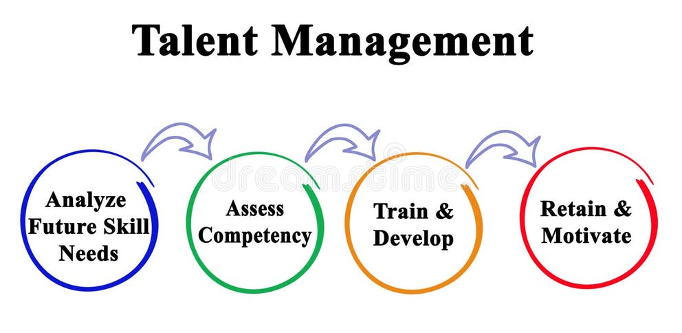 Components of Talent Management Stock Photo - Image of assess, concept ...