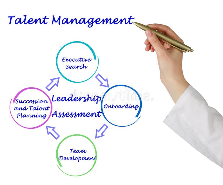 Components of Talent Management Stock Image - Image of female, planning ...