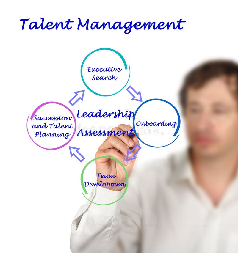 Components of Talent Management Stock Photo - Image of 1660, team ...