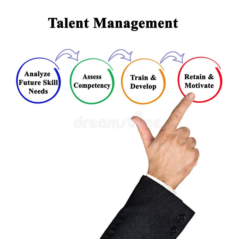 Components of Talent Management Stock Photo - Image of assess, concept ...