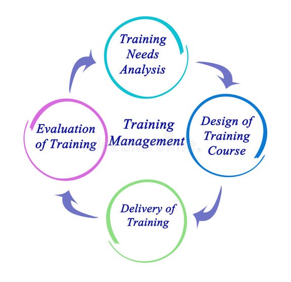 Components of Training Management Stock Illustration - Illustration of ...