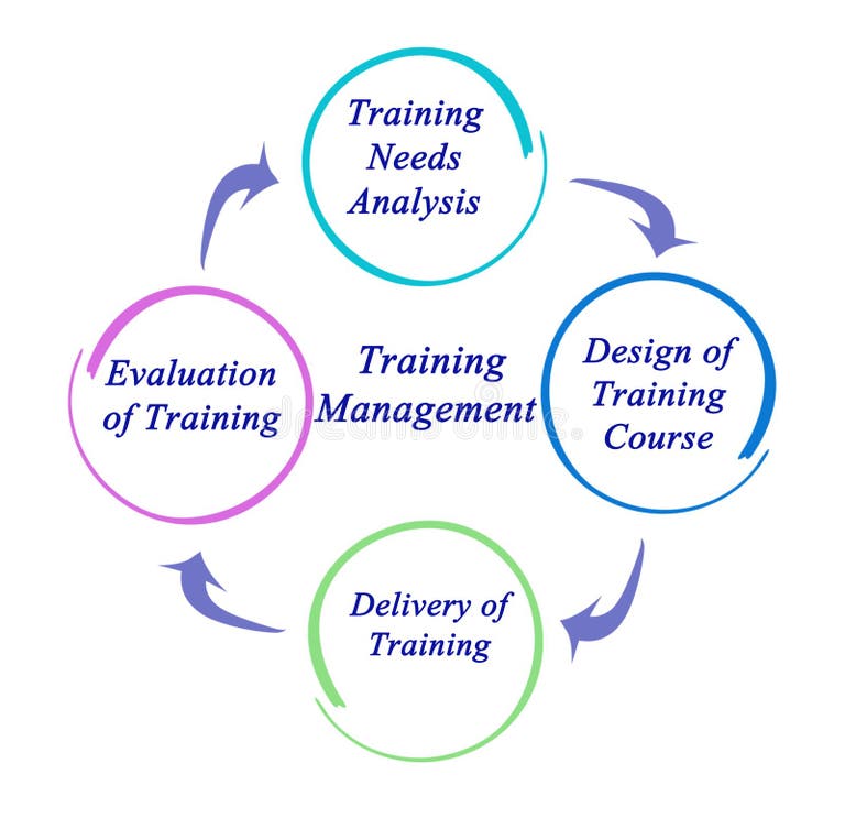 Components of Training Management Stock Illustration - Illustration of ...