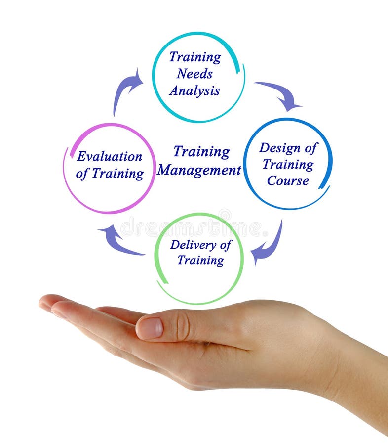 Components of Training Management Stock Image - Image of evaluation ...