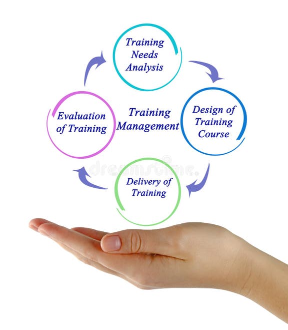Components of Training Management Stock Image - Image of evaluation ...