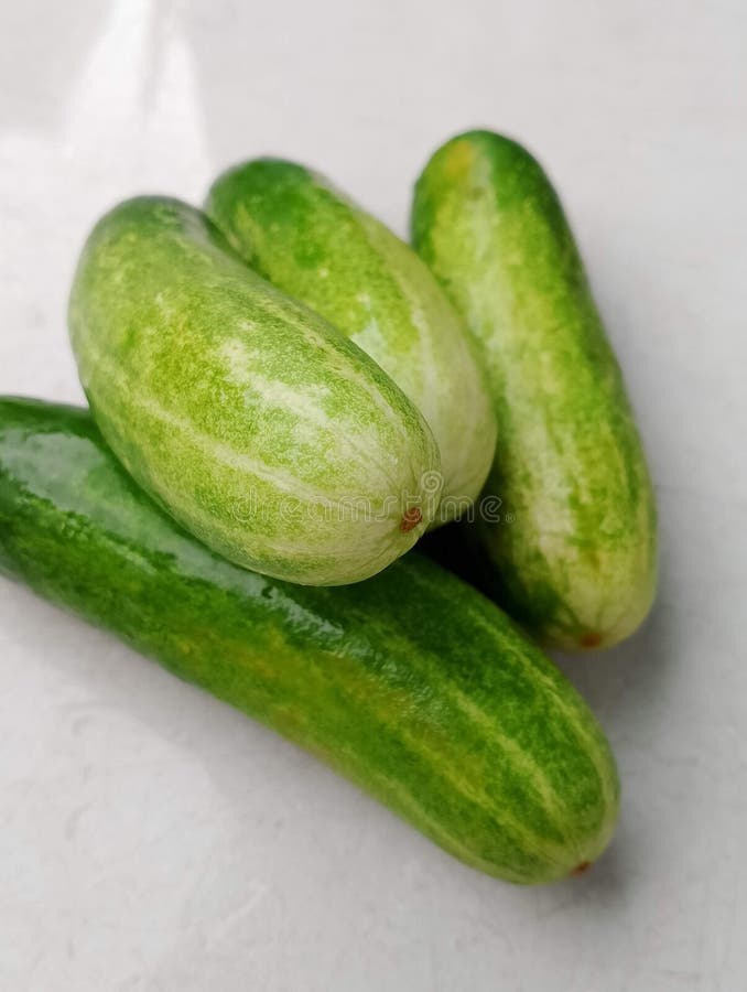 Cucumbers with Different Shapes, with White Tips, Looking Fresh. Stock ...