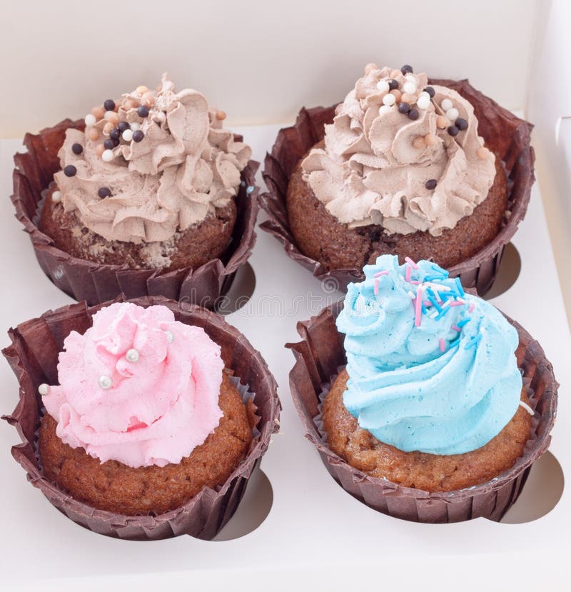 Four cupcakes in white box stock photo. Image of white - 60328620