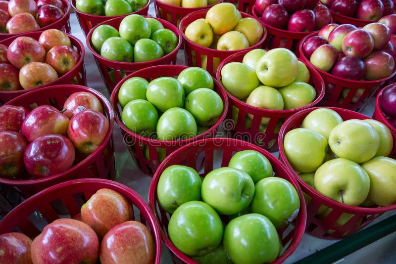 Four Different Apple Varieties Stock Image - Image of food, apples ...