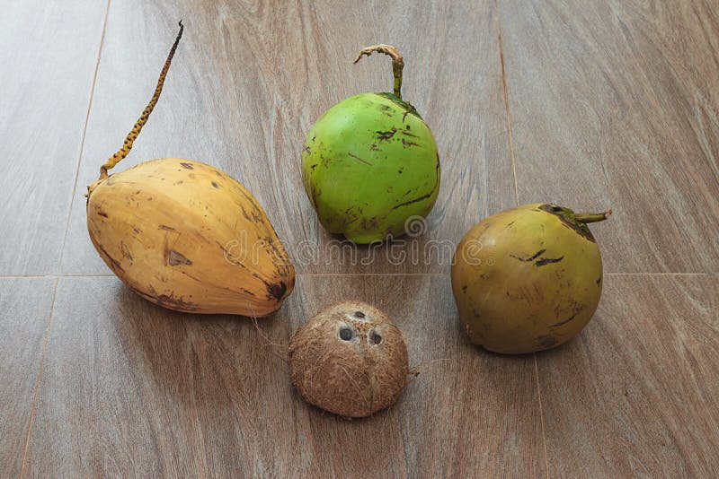 Four Different Coconuts on Table Stock Photo - Image of comparing ...