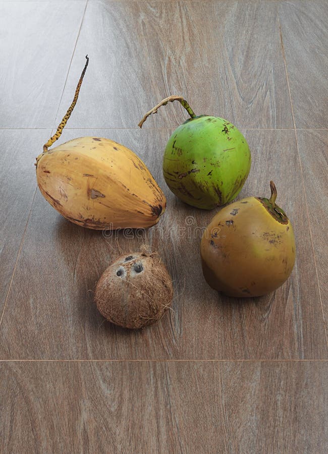 Four Different Coconuts on Table Stock Image - Image of individuality ...
