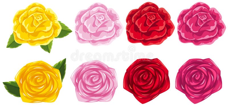 Four Different Colors of Roses Stock Vector - Illustration of graphic ...