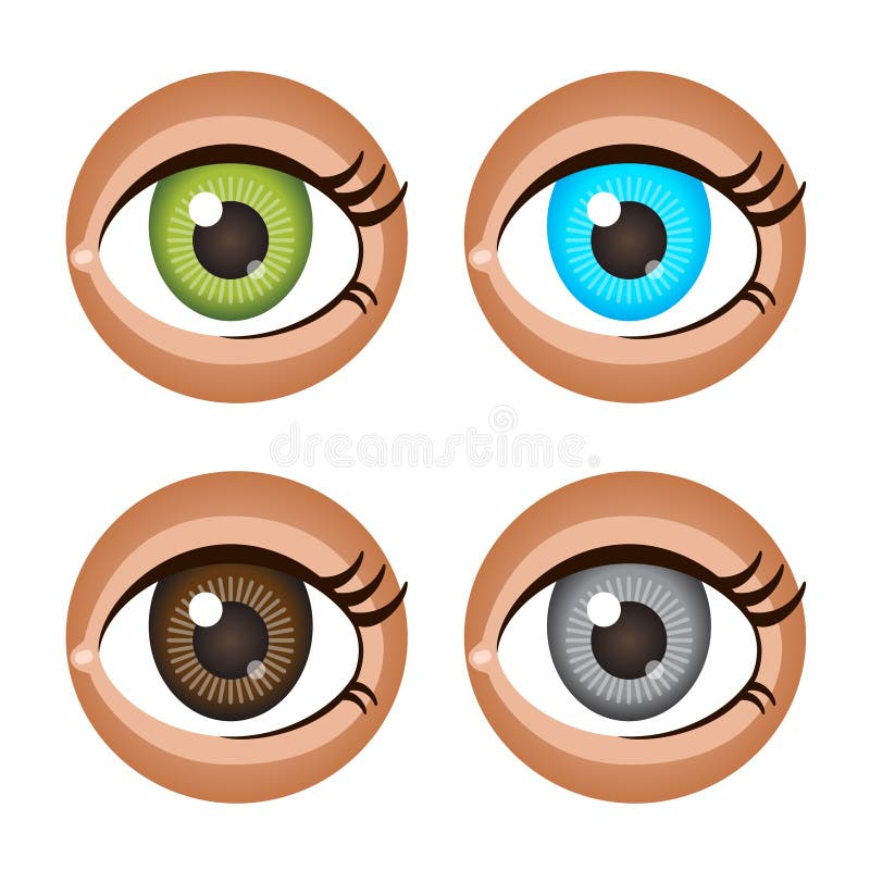 Four Different Colour Eyes Brown, Blue, Green, Grey. Stock Vector ...