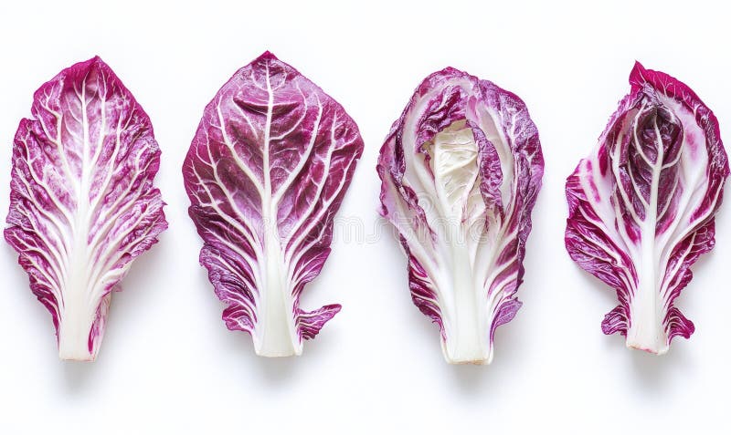 Four Different Types of Lettuce are Shown, Each with a Different Color ...