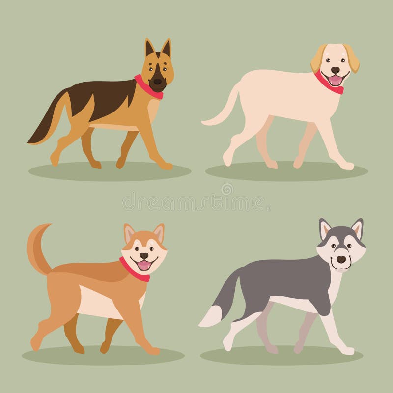 Four dogs mascots stock vector. Illustration of pedigree - 230392254