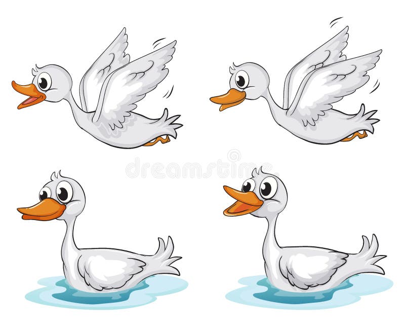 Four ducks stock illustration. Illustration of animal - 29373613