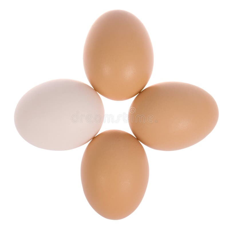 Four eggs in circle stock photo. Image of fragile, isolation - 81860432