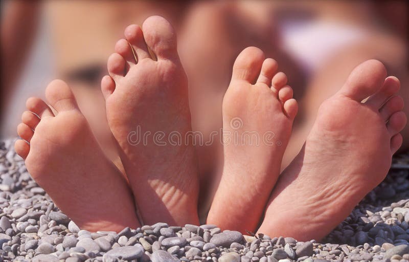 Four Feet on the Pebble Beach Stock Photo - Image of weakening, seaside ...