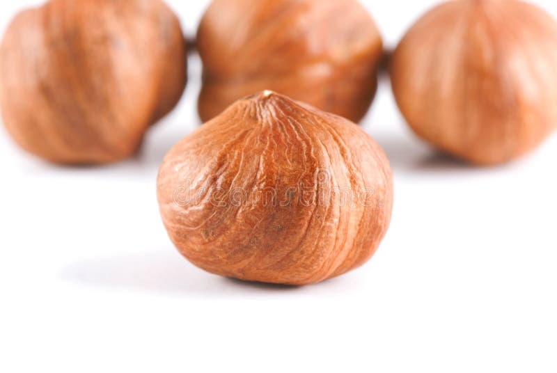 Four filbert nuts stock image. Image of macro, seeds, diet - 7229187