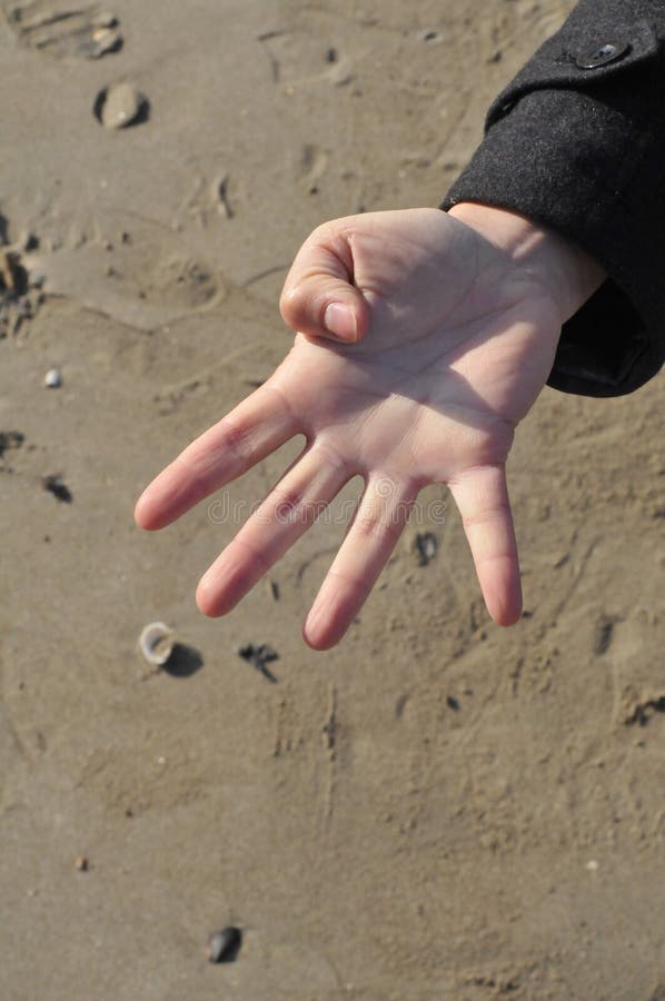 103 Four Fingers Beach Stock Photos - Free & Royalty-Free Stock Photos ...