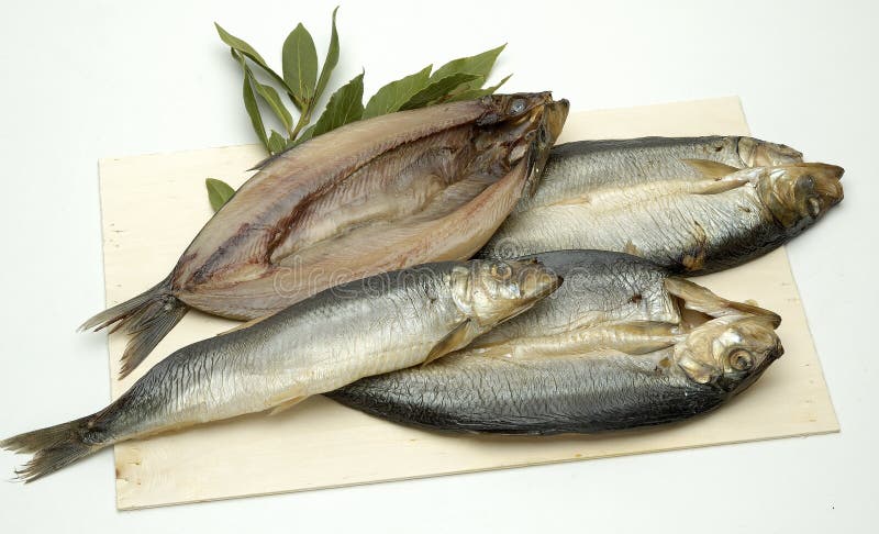 Raw fish stock photo. Image of fish, gourmet, meal, nutritious - 2279918