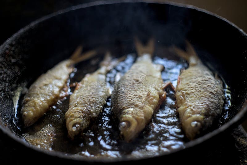Four Fish are Fried in a Pan Stock Image - Image of roasted, wooden ...