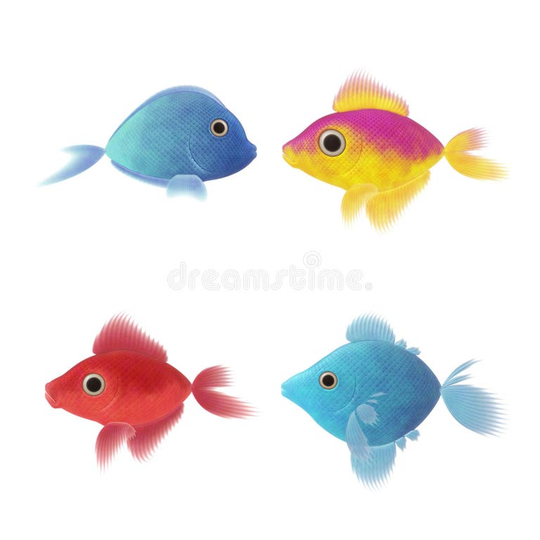 Four fish illustrations stock illustration. Illustration of aquarium ...