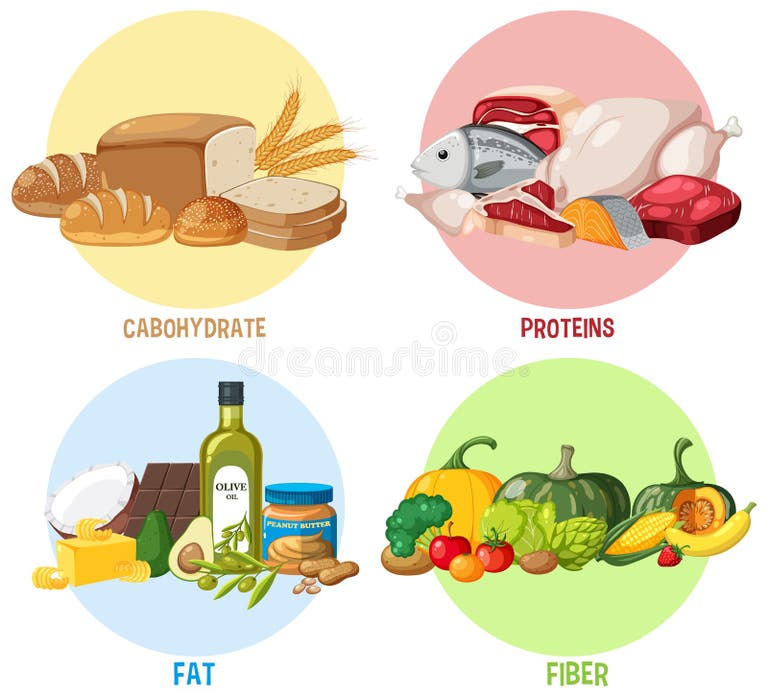 The four food groups stock vector. Illustration of ingredient - 268595487