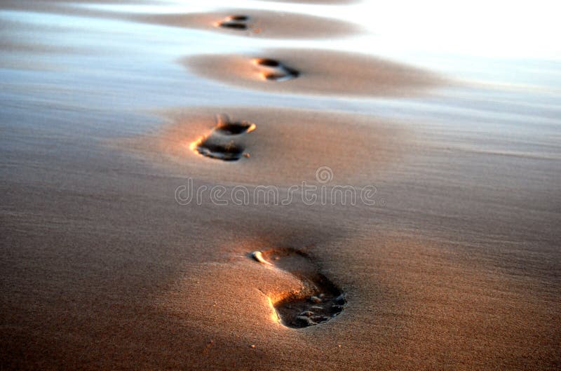 Footsteps Photography Lights