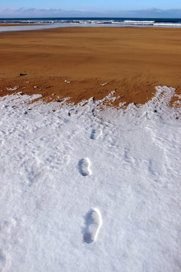 Four Footprints in Snow on Beach on a Cold Winter Stock Image - Image ...