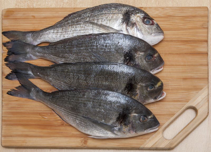 Four fresh Dorada fish stock photo. Image of eating - 141898108