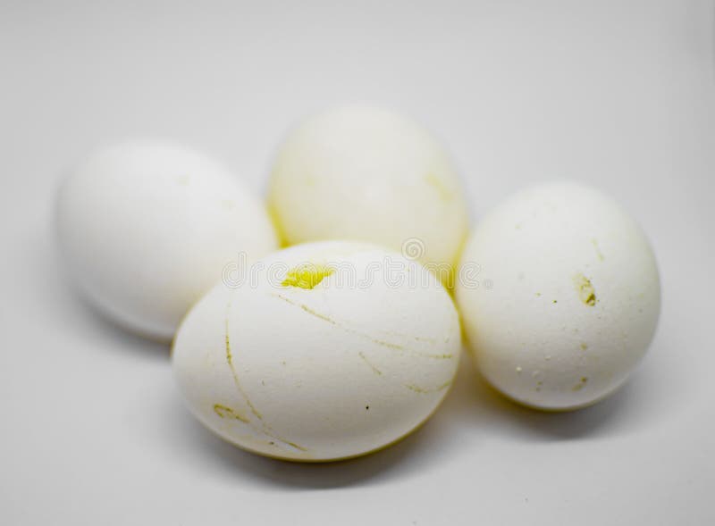 Four fresh eggs with shell stock photo. Image of heap - 118355568