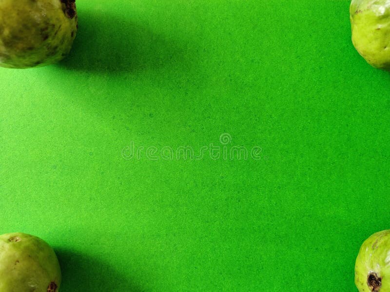 Four Fresh Guava Fruit Isolated on Corners Stock Image - Image of fruit ...