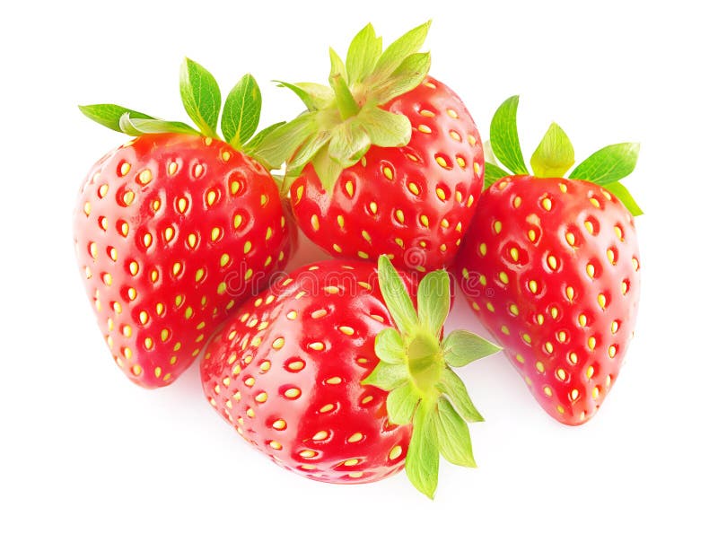 Four Fresh Strawberries Isolated on White, Top View Stock Illustration ...