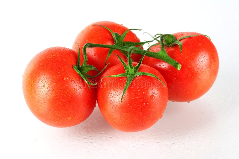 Four Fresh Tomatoes Stock Photography - Image: 11717942