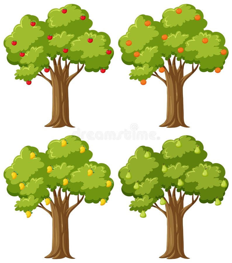 Four fruit trees set stock vector. Illustration of eating - 248421961