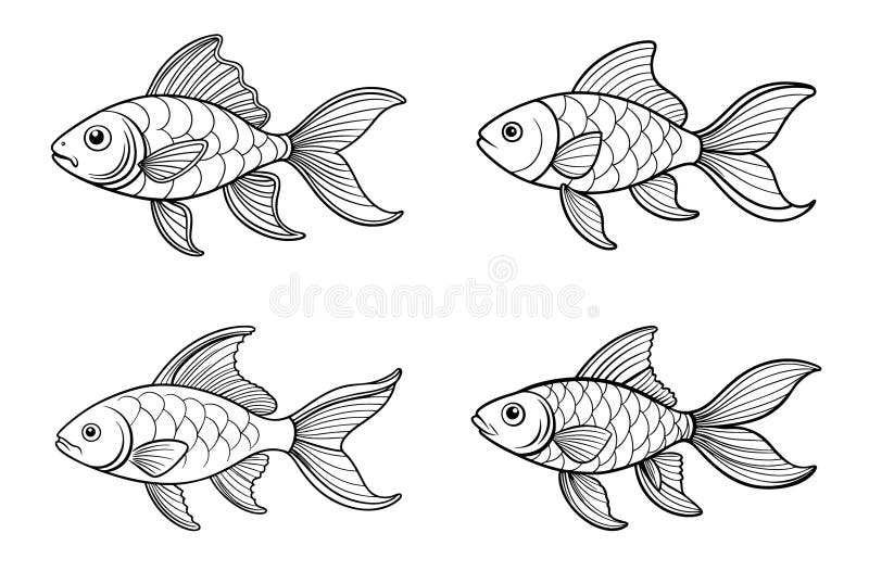 Four Goldfish Swimming in Different Directions, a Black and White ...