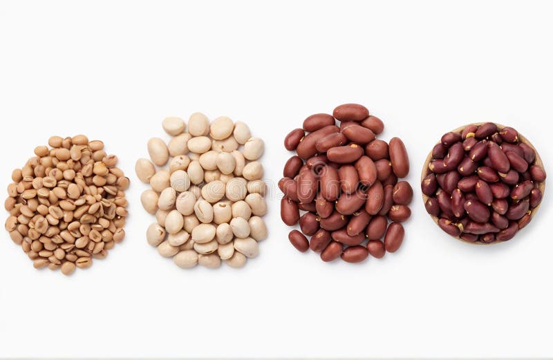 Four Grains Mix Beans ,cut Out on White Background Stock Illustration ...
